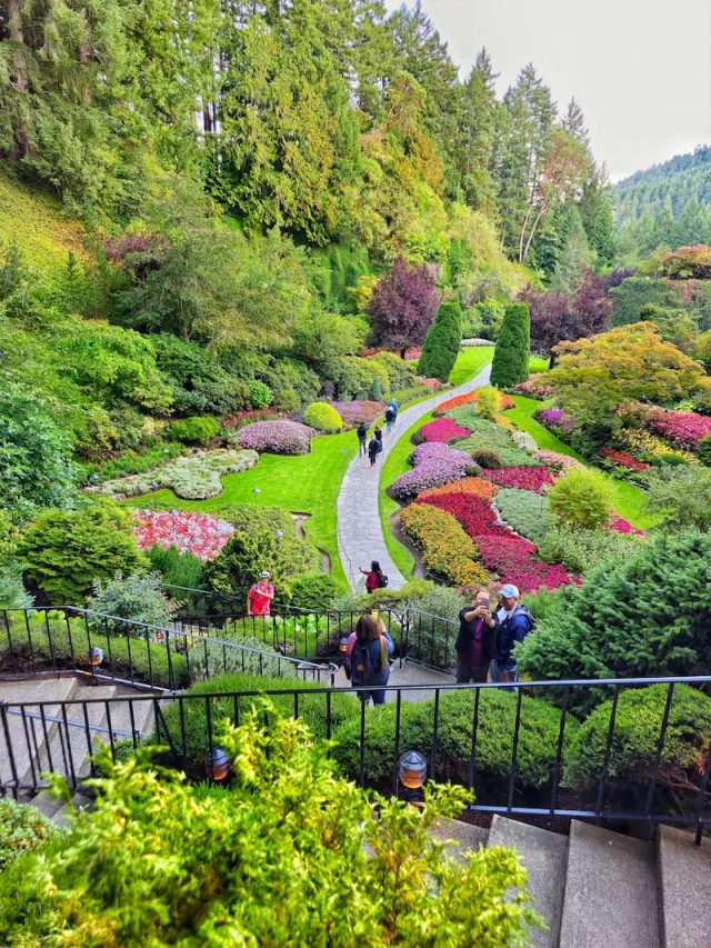Fall in Love with the Magic of the Butchart Gardens - Shiplap and Shells