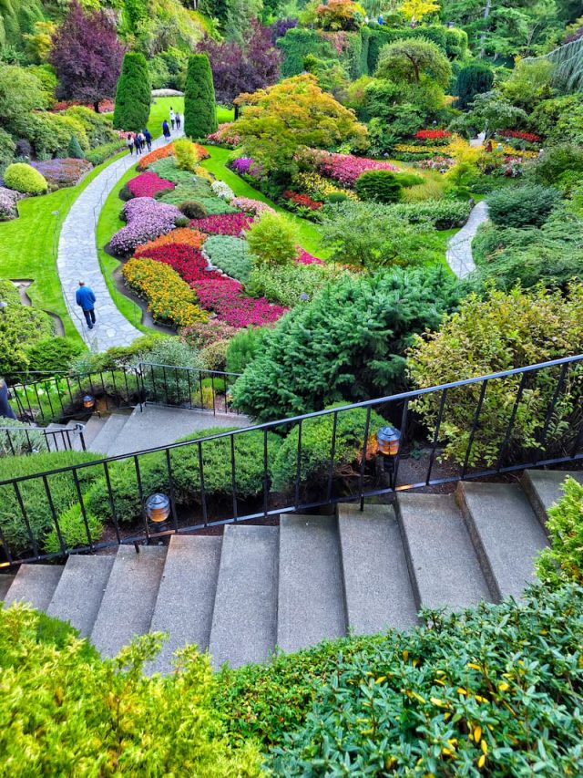 Fall in Love with the Magic of the Butchart Gardens - Shiplap and Shells