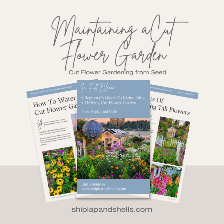 Cut Flower Garden Dos and Don’ts for Beginners - Shiplap and Shells