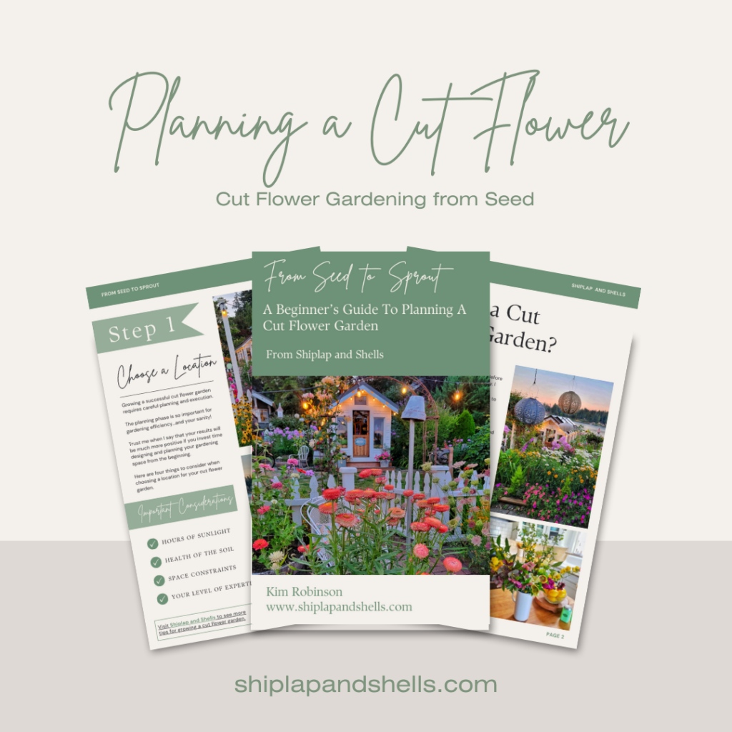 Cut Flower Garden Dos and Don’ts for Beginners - Shiplap and Shells
