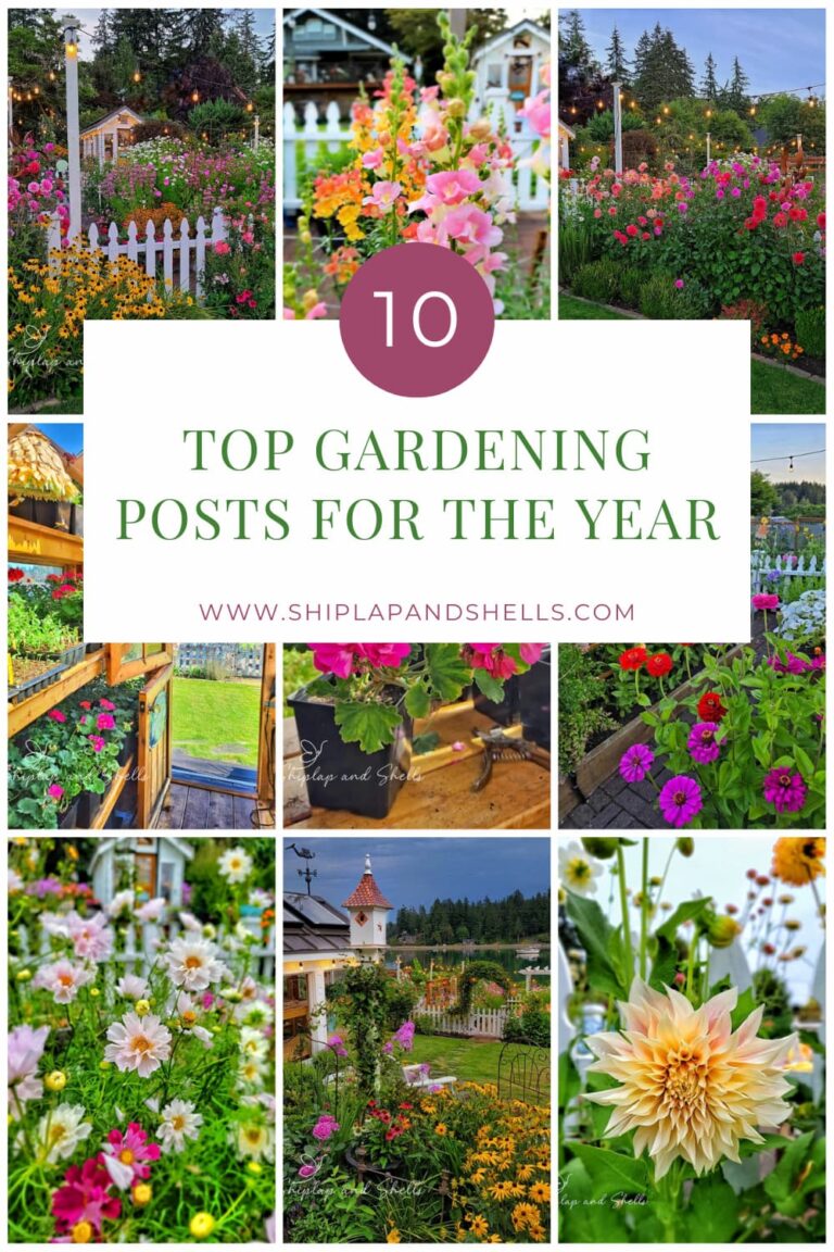The Top10 Blog Posts of 2024: A Year of Gardening Inspiration - Shiplap ...